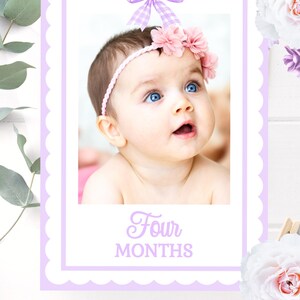 12 Month Photo Banner Download Lavender Birthday Decorations Purple ...