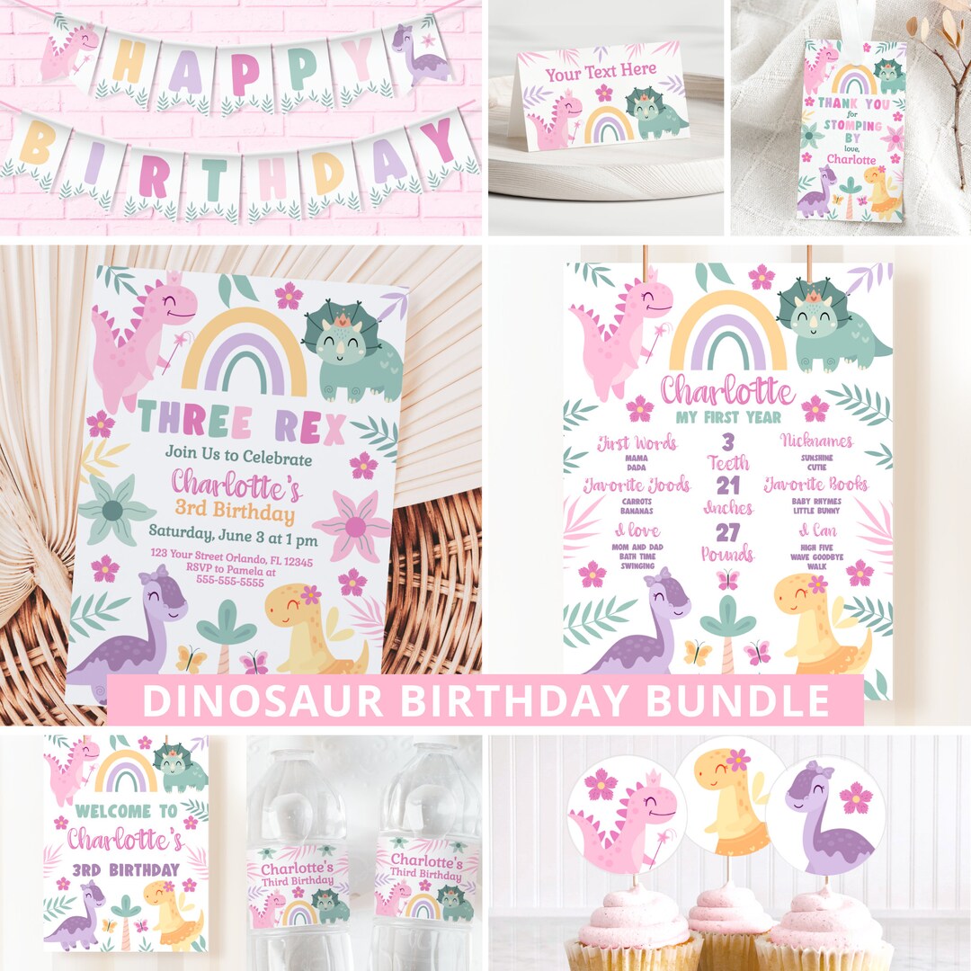 Girl Dinosaur Birthday Bundle Girl Dinosaur Party Decorations Dinosaur ...