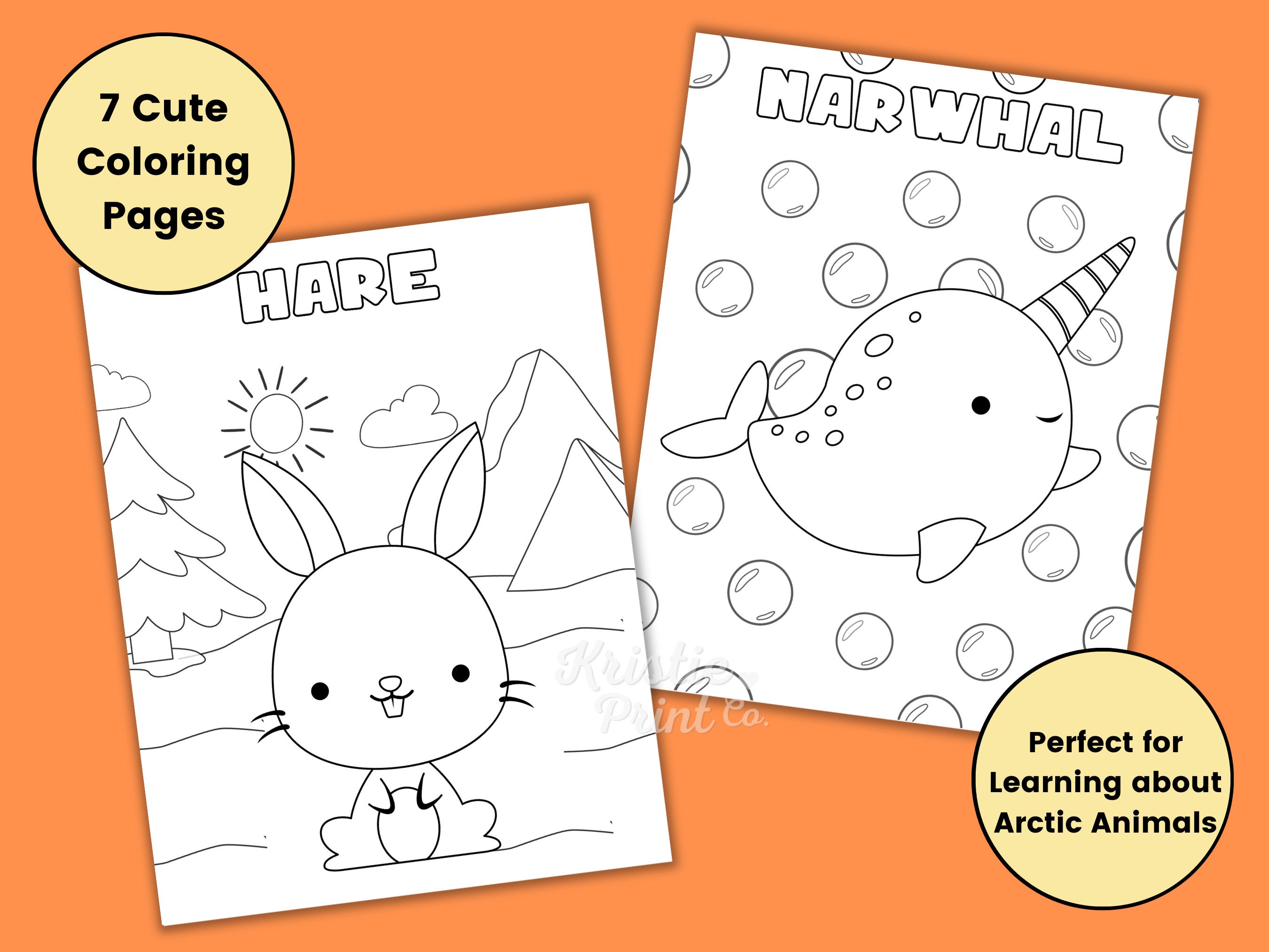 Arctic Animals Coloring Pages for Kids, Arctic Animals Activities ...