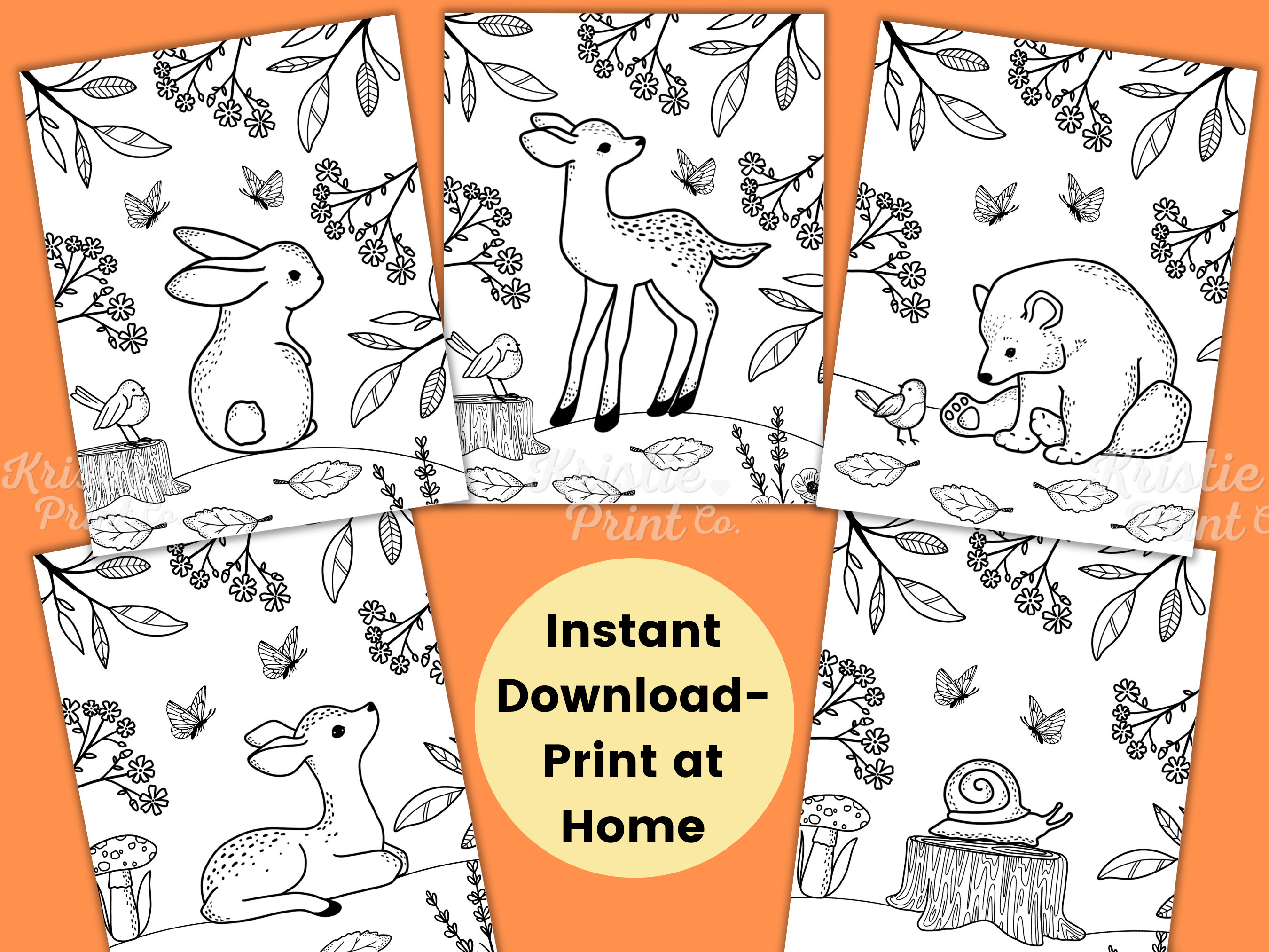 Woodland Forest Animals Coloring Pages