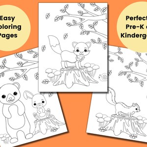 Forest Animal Coloring Pages for Kids, Kids Party Games, Woodland ...