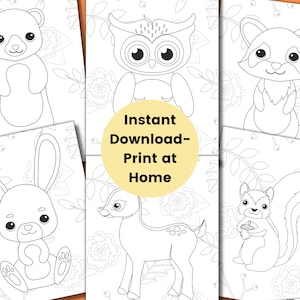 Forest Animal Coloring Pages for Kids, Kids Party Games, Woodland ...