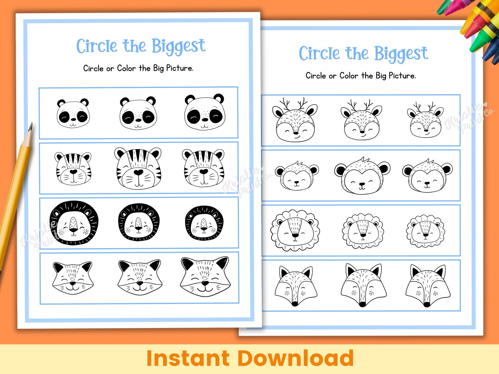 Big Small Worksheets, Learning Sizes Printable, Preschool Worksheets ...