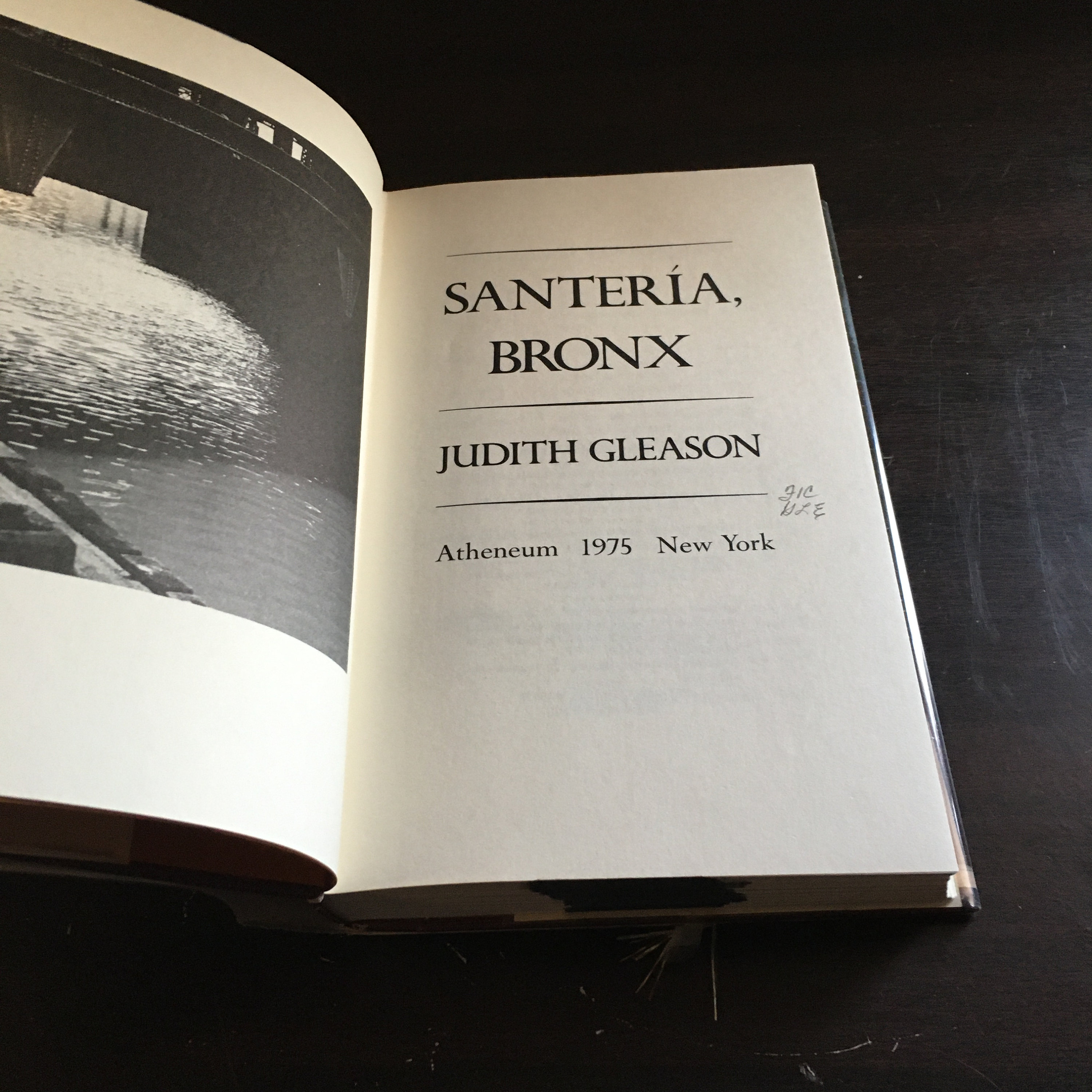 Santeria, Bronx by Judith Gleason 1975, Hardcover - Etsy