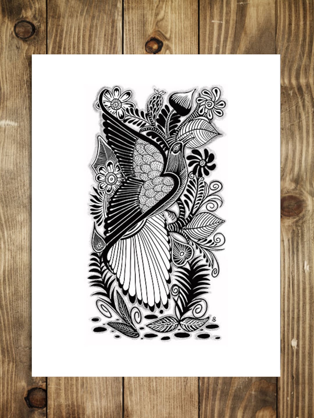 Song Bird Coloring Page Adult Coloring Book Printable Digital Instant ...