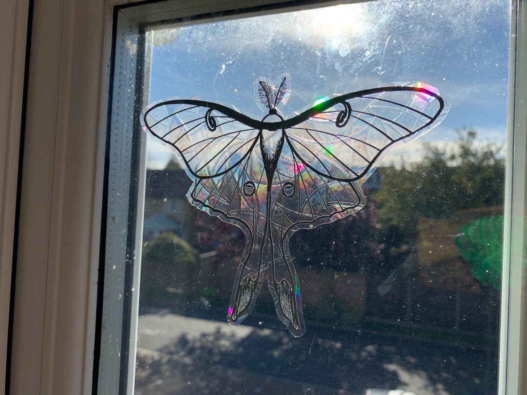 Lunar Moth Removable Rainbow Suncatcher - Etsy