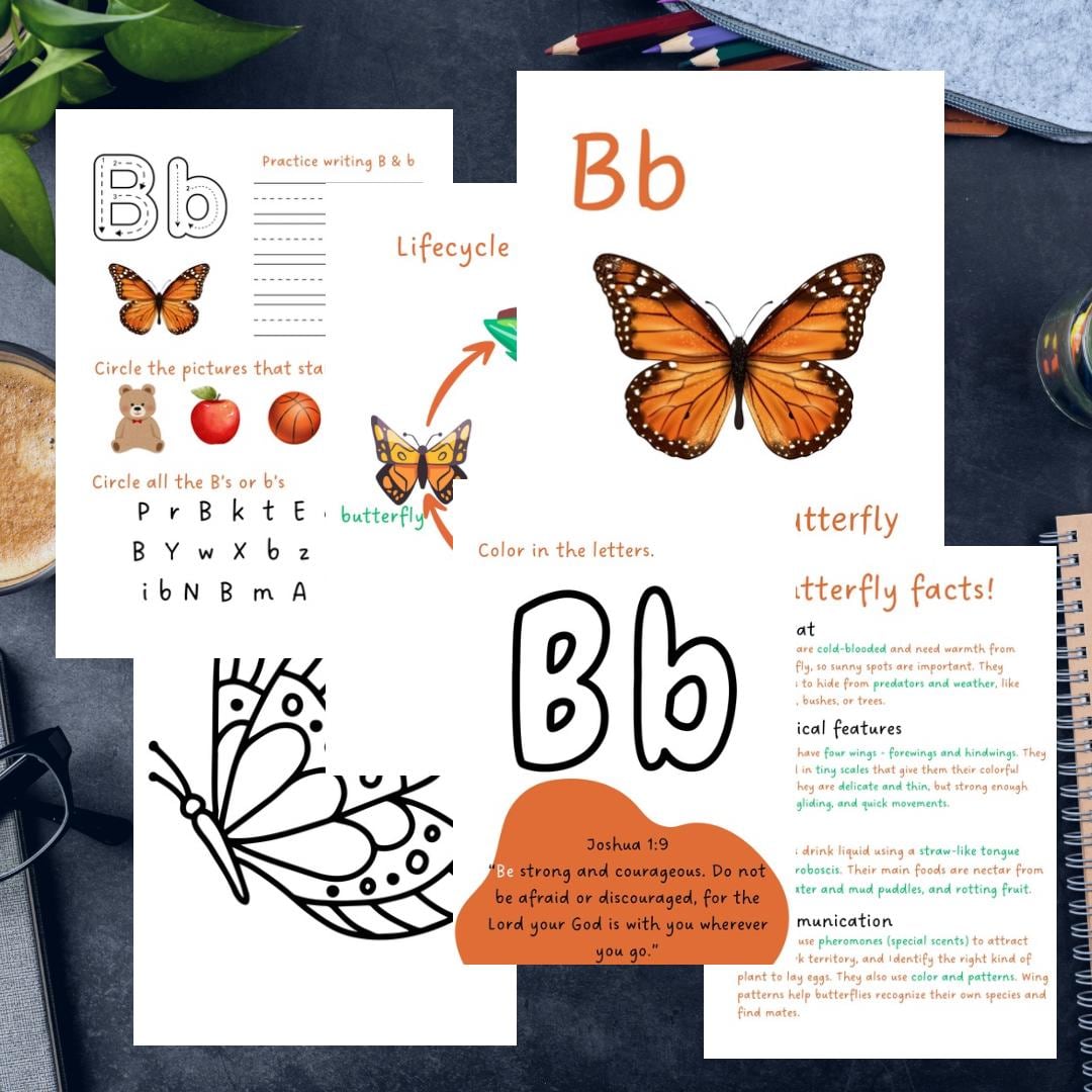B is for Butterfly Homeschool Worksheets - Etsy