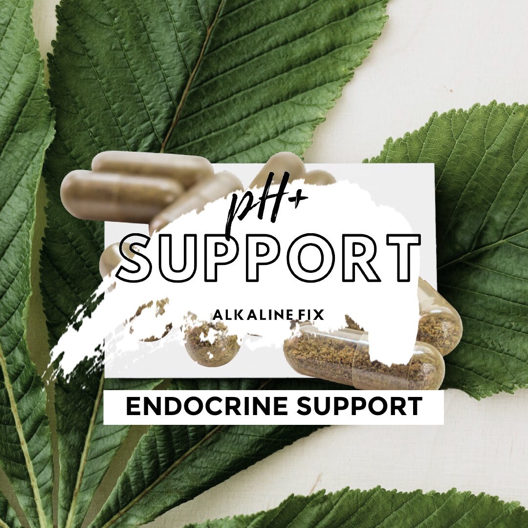 Endocrine Support, Adrenal System Support, Regulate the Three Treasures ...