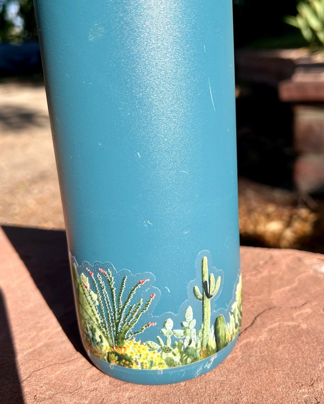 Desert Cacti Watercolor Vinyl Sticker: Wrap-around Water Bottle Decal ...