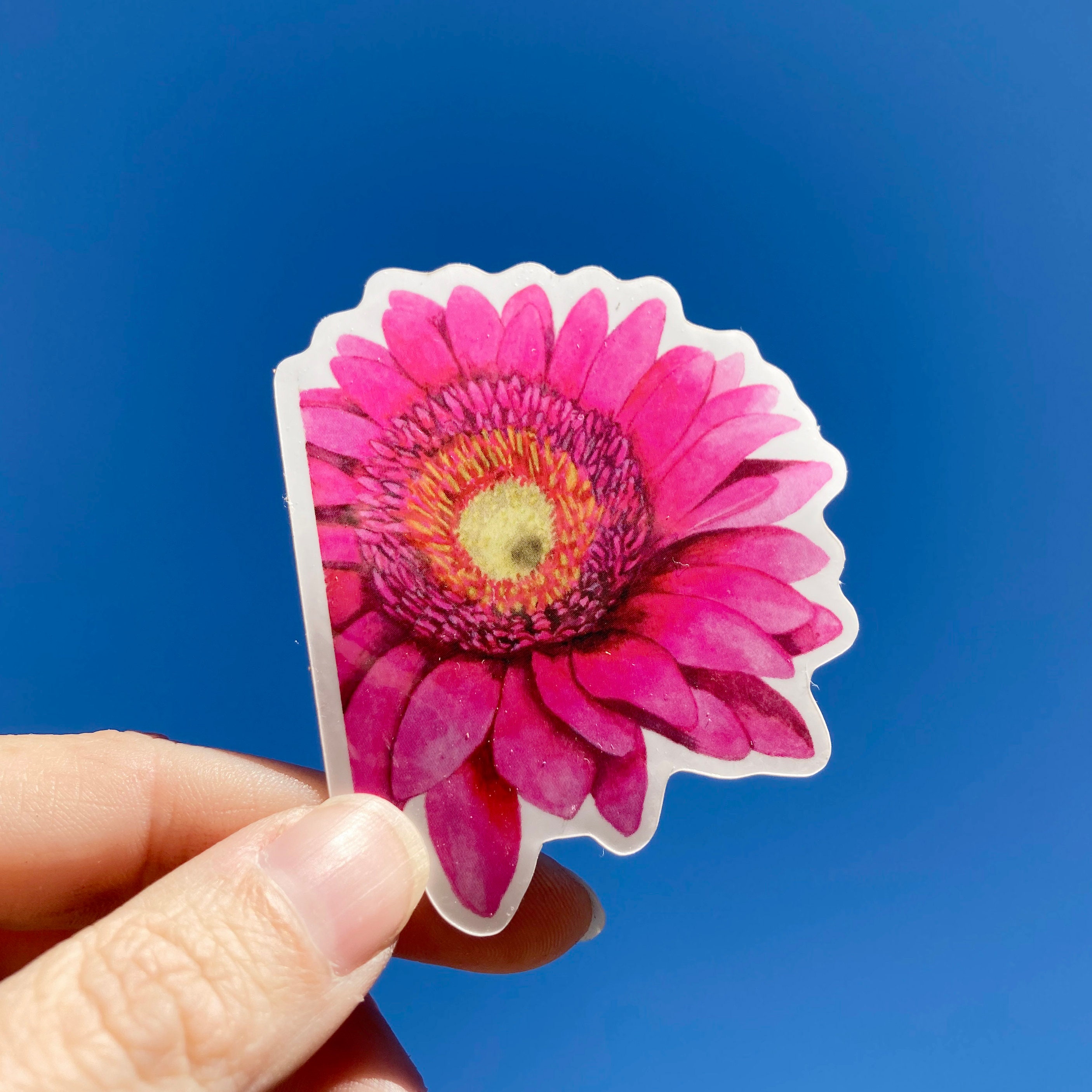 Bright Pink Gerbera Daisy Sticker | Waterproof Vinyl Decal - Etsy