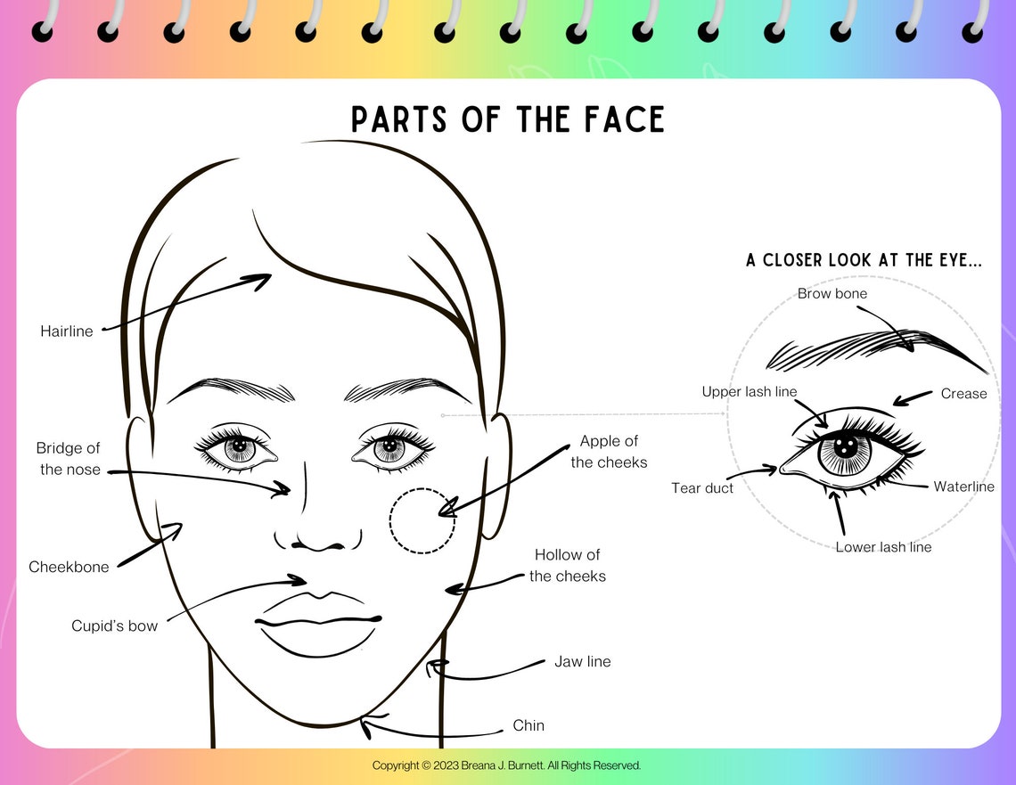 My Made up Life Makeup Maps - Etsy