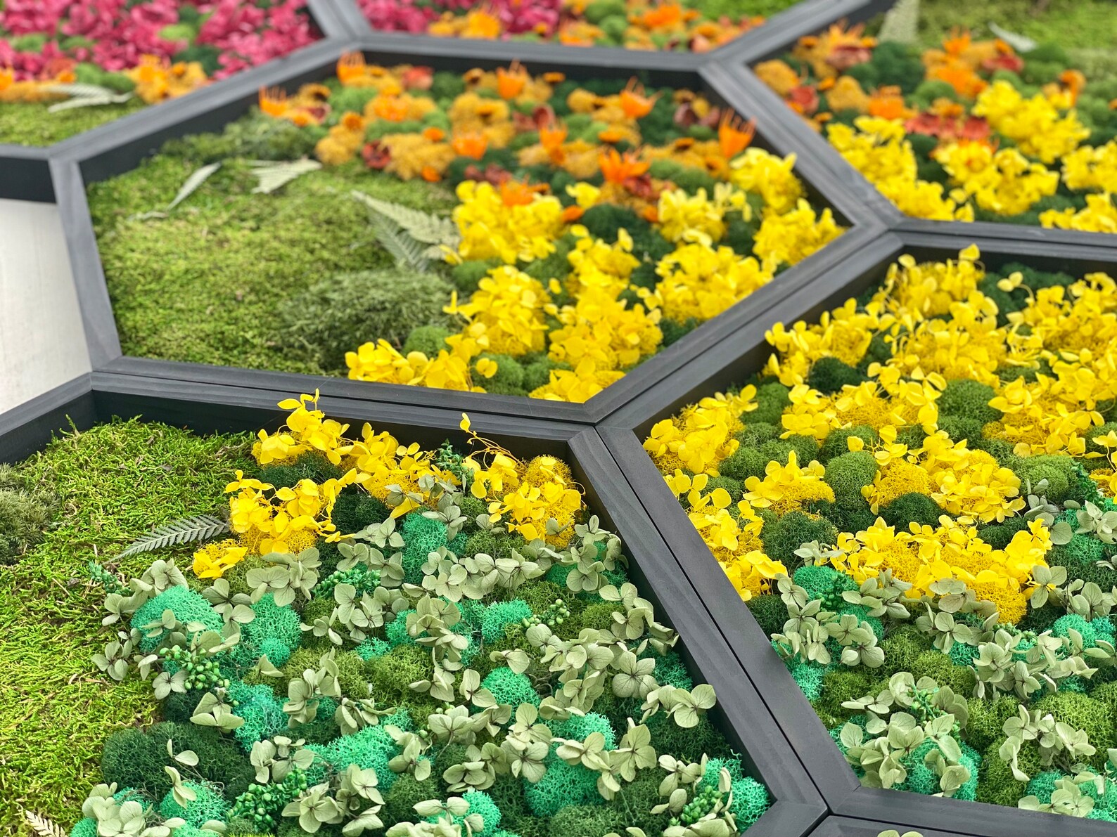 Rainbow Preserved Moss Wall Art: Hexagon Nature Decor, 24 Inch - Etsy