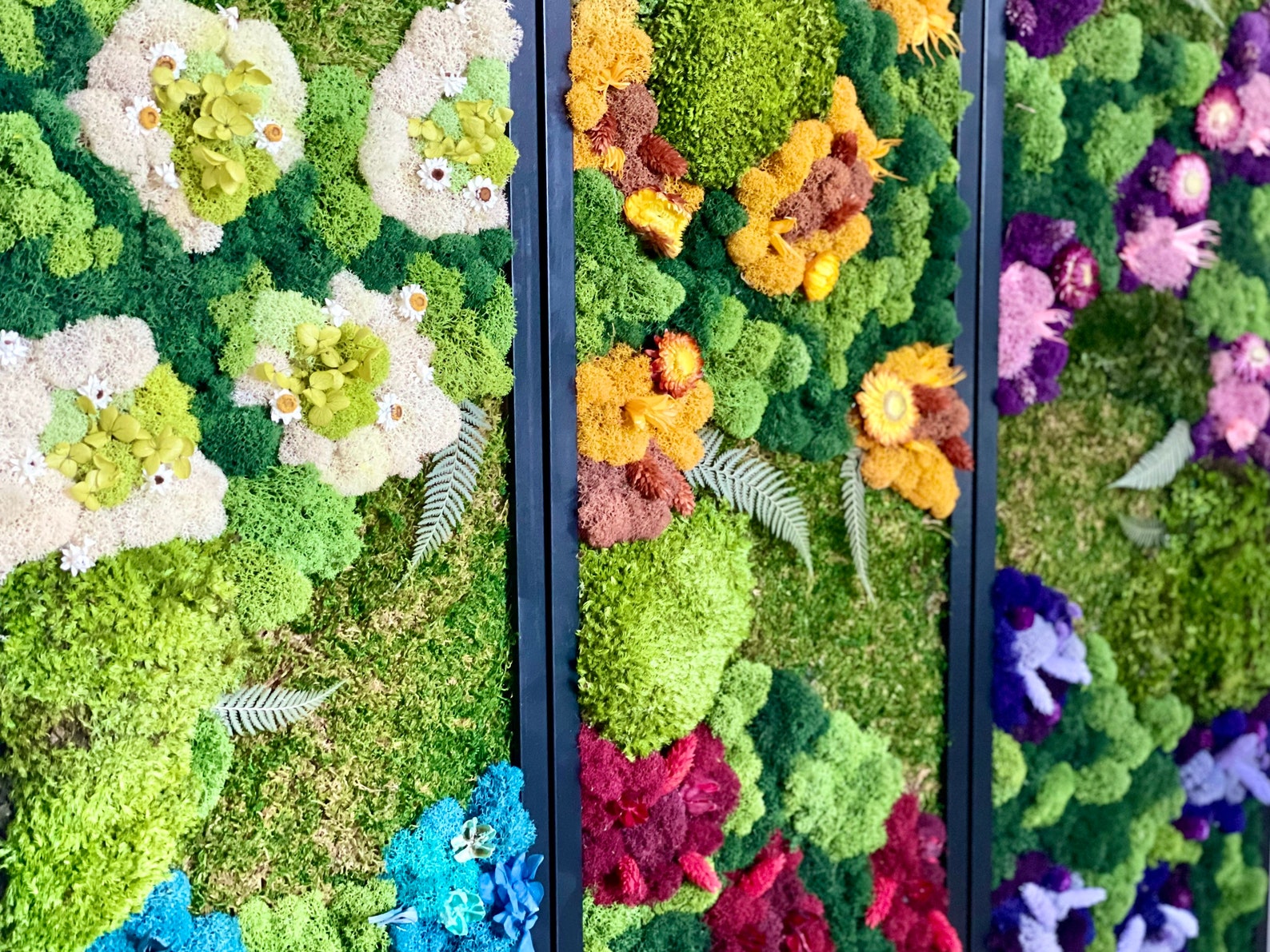 Colorful Moss Art Set Moss Wall Art Preserved Moss Large - Etsy