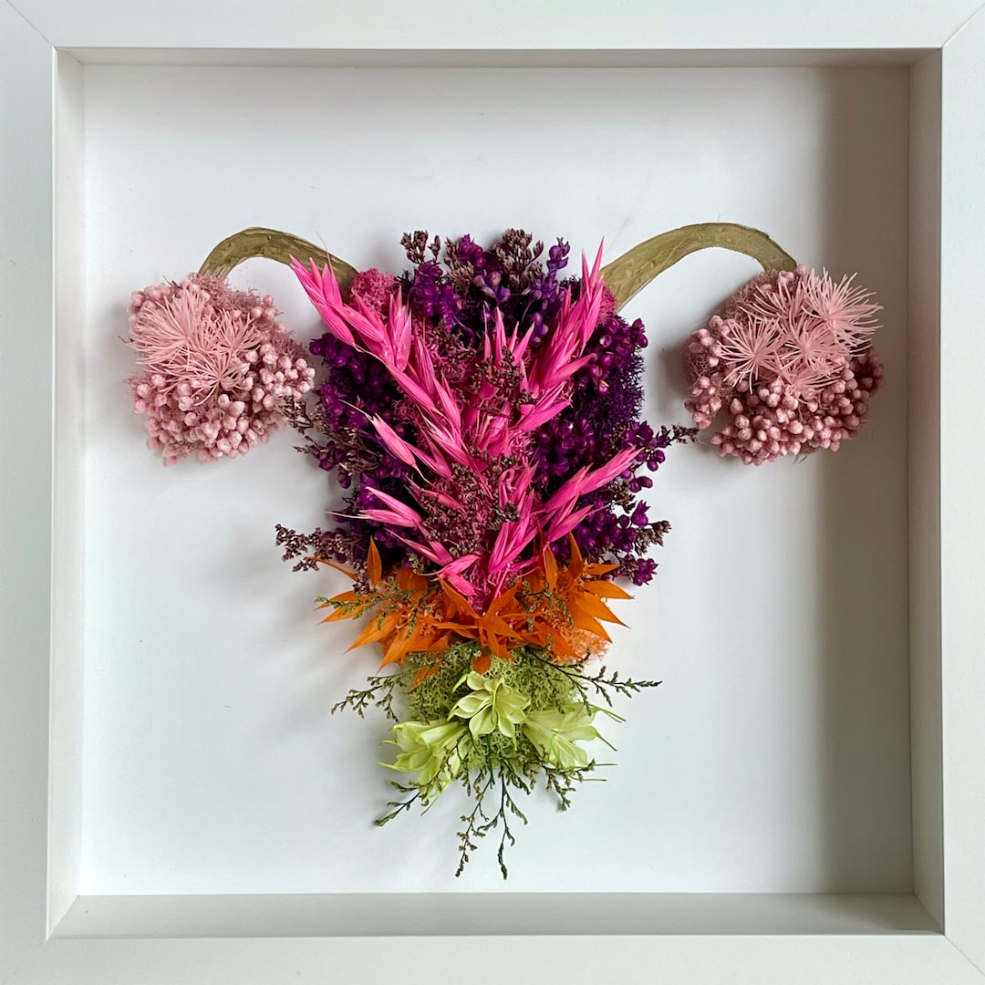 Uterus 3D Art Frame - Body Parts Art in Square 10x10 in Frame | Anatomy ...