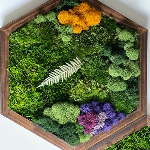 Rumoss Hex Set | Moss Wall Art | Preserved Moss | Hexagon | Honeycomb ...