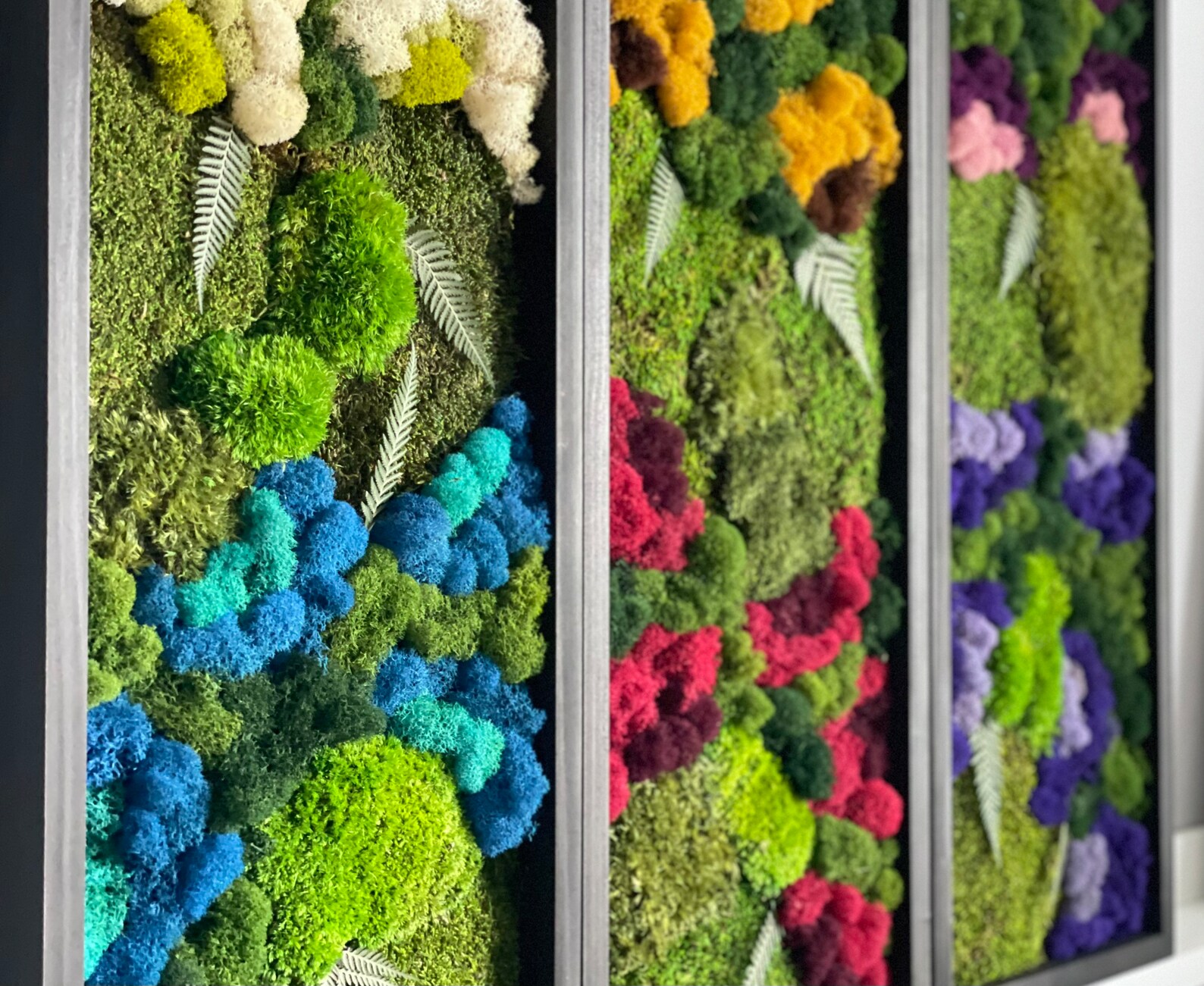Colorful Moss Art Set Moss Wall Art Preserved Moss Large - Etsy