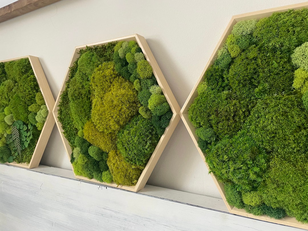 Moss Wall Art Set | Preserved Moss | Hexagon | Honeycomb | Handmade ...