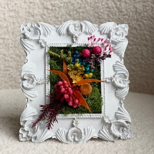 Mini Rainbow Moss Art | La Petite Moss | Preserved Moss | Wall Decor ...