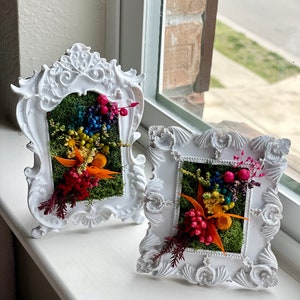 Mini Rainbow Moss Art | La Petite Moss | Preserved Moss | Wall Decor ...