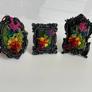 Mini Rainbow Moss Art | La Petite Moss | Preserved Moss | Wall Decor ...