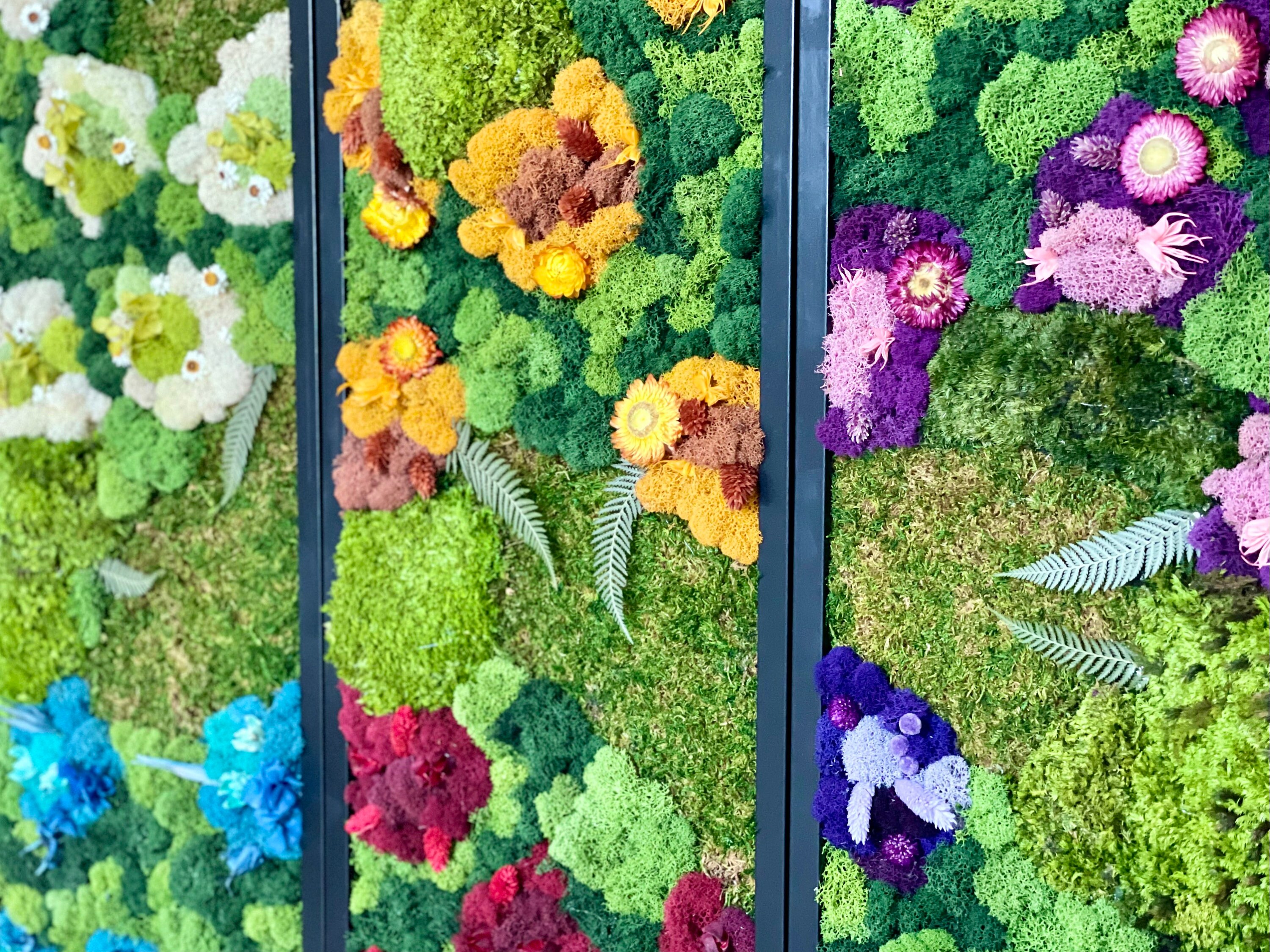 Colorful Moss Art Set Moss Wall Art Preserved Moss Large - Etsy UK