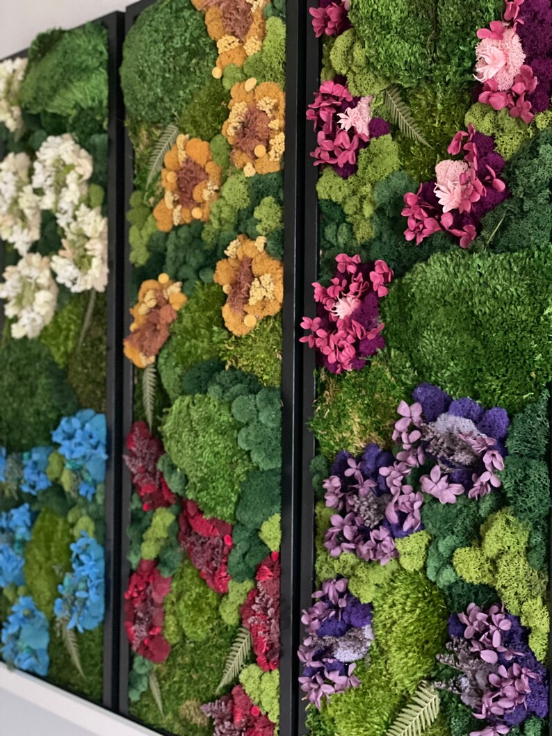 Colorful Moss Art Set Moss Wall Art Preserved Moss Large - Etsy