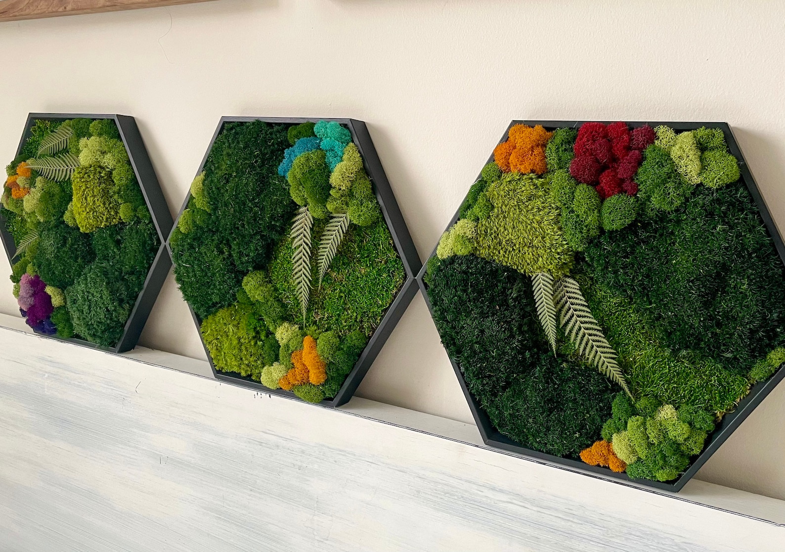 Rumoss Hex Set Moss Wall Art Preserved Moss Hexagon - Etsy Canada