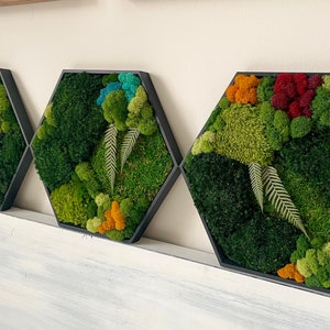 Rumoss Hex Set | Moss Wall Art | Preserved Moss | Hexagon | Honeycomb ...