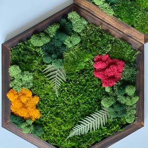 Rumoss Hex Set | Moss Wall Art | Preserved Moss | Hexagon | Honeycomb ...