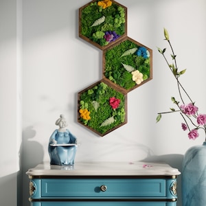 Rumoss Hex Set | Moss Wall Art | Preserved Moss | Hexagon | Honeycomb ...