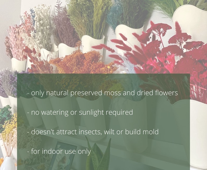 Moss Wall Art Purple Blue Pink Coral Preserved Moss - Etsy