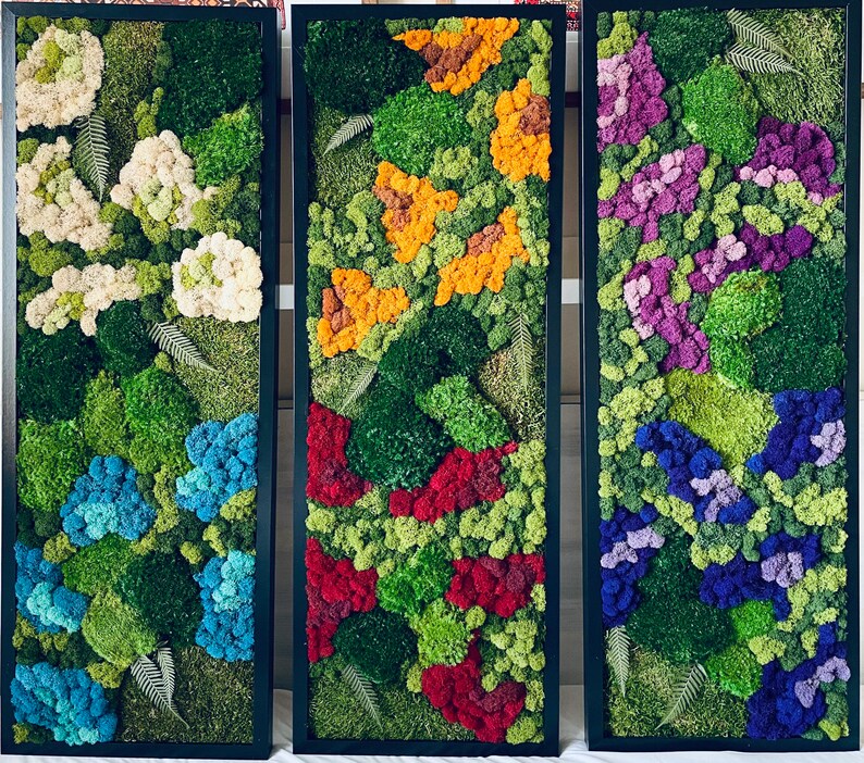 Colorful Moss Art Set Moss Wall Art Preserved Moss Large - Etsy