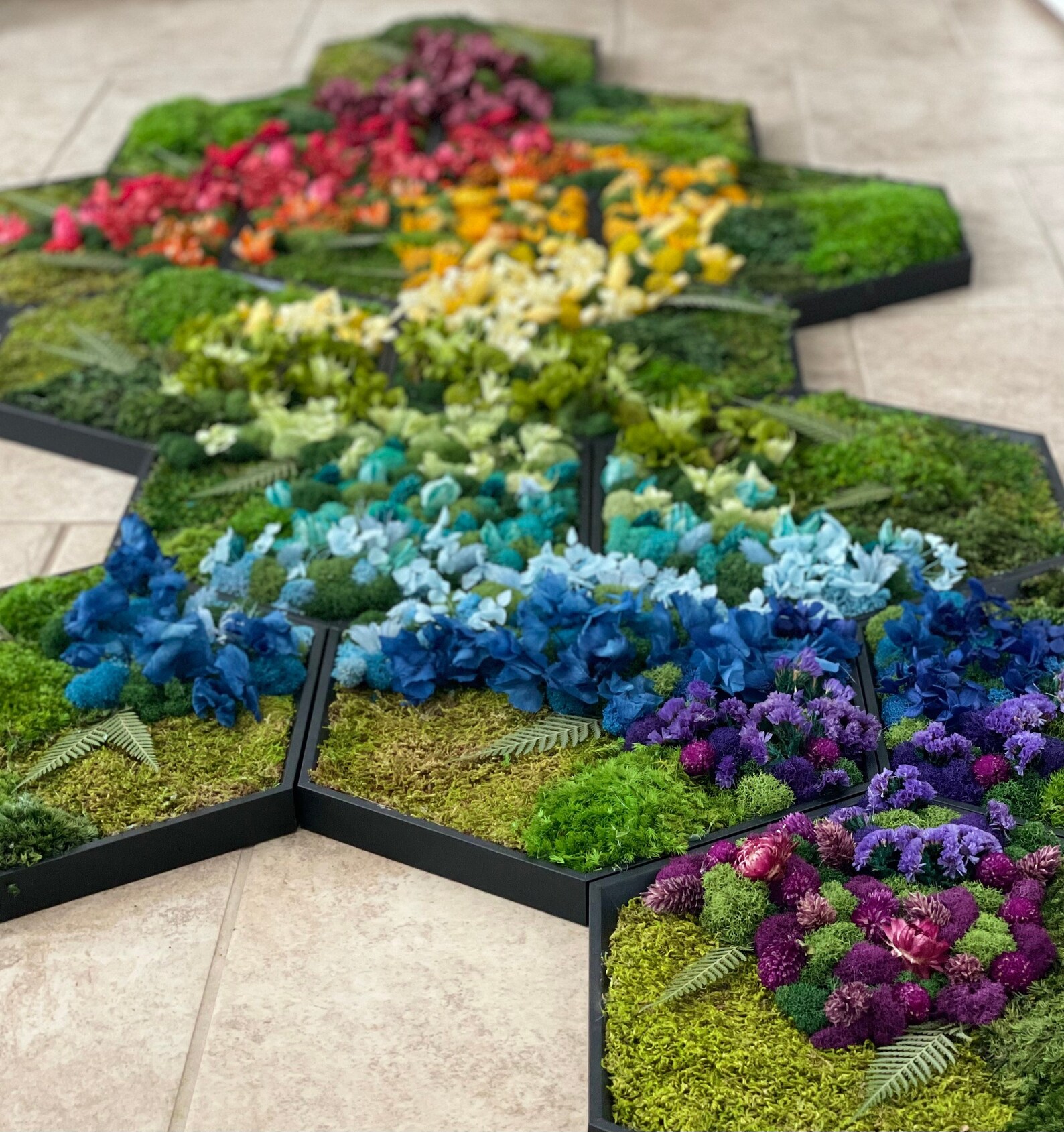 Rainbow Honeycomb Set Moss Wall Art Preserved Moss - Etsy UK