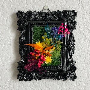 Mini Rainbow Moss Art | La Petite Moss | Preserved Moss | Wall Decor ...