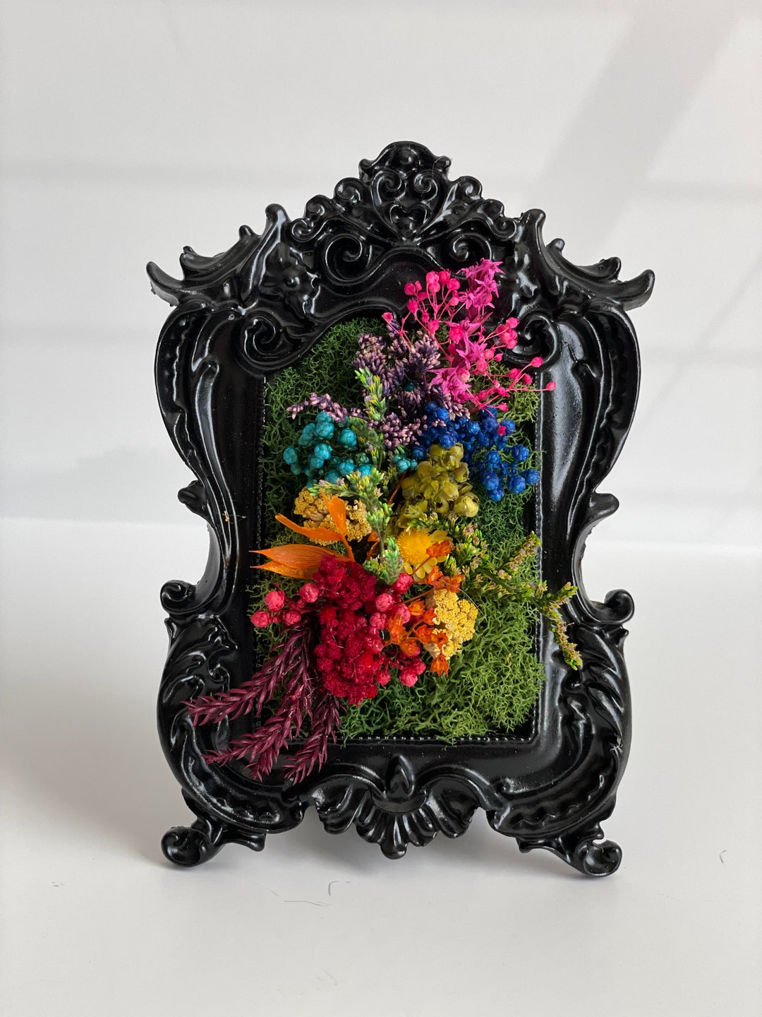 Mini Rainbow Moss Art | La Petite Moss | Preserved Moss | Wall Decor ...