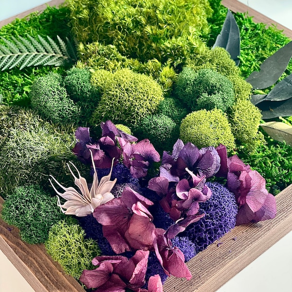Moss Wall Art - Etsy
