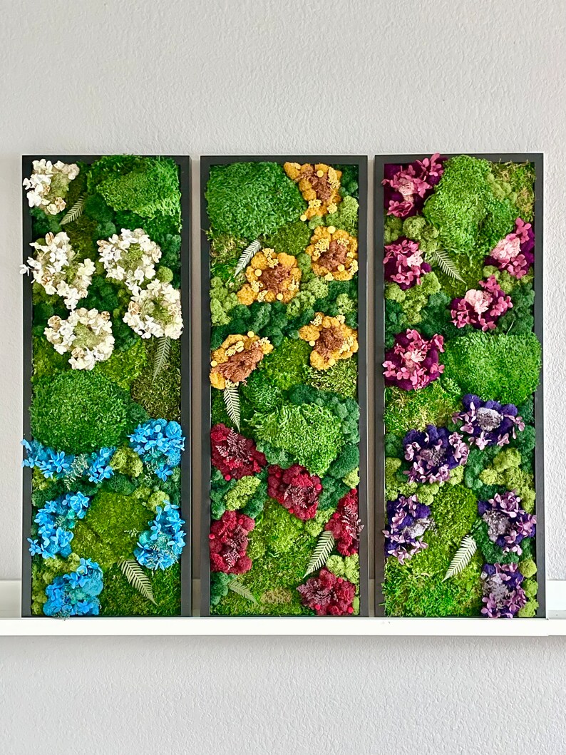 Colorful Moss Art Set Moss Wall Art Preserved Moss Large - Etsy