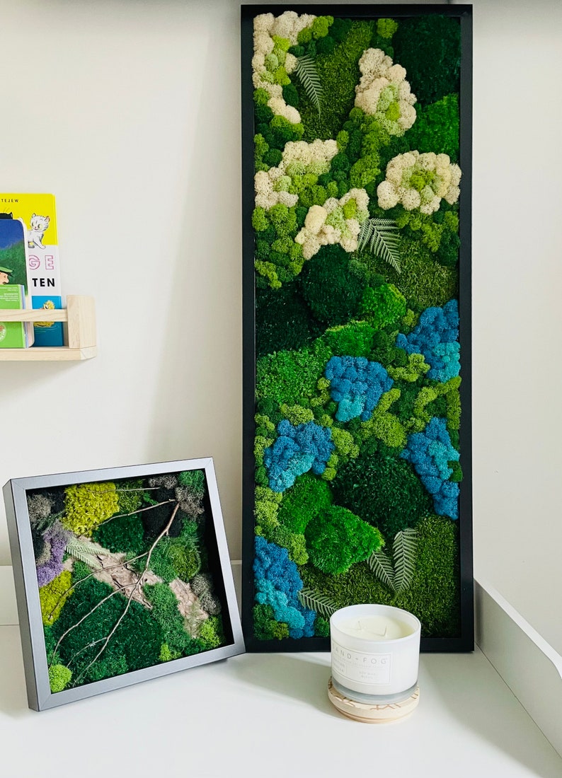 Colorful Moss Art Set Moss Wall Art Preserved Moss Large - Etsy