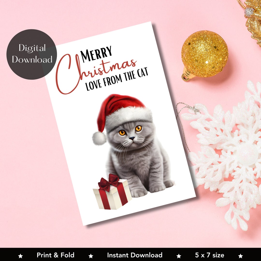 Printable Christmas Card From the Cat Cat Greetings Card - Etsy