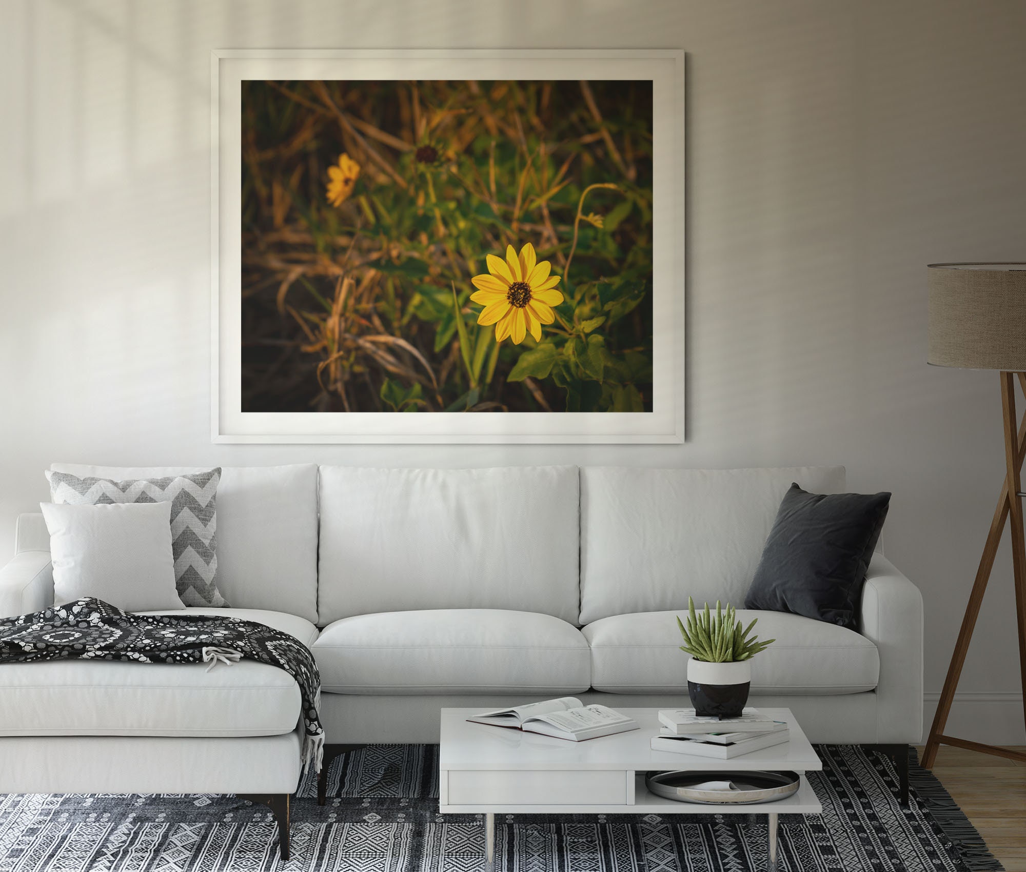 Sunset Beach Daisy, Florida Floral Series, Fine Art Color Photo Wall ...