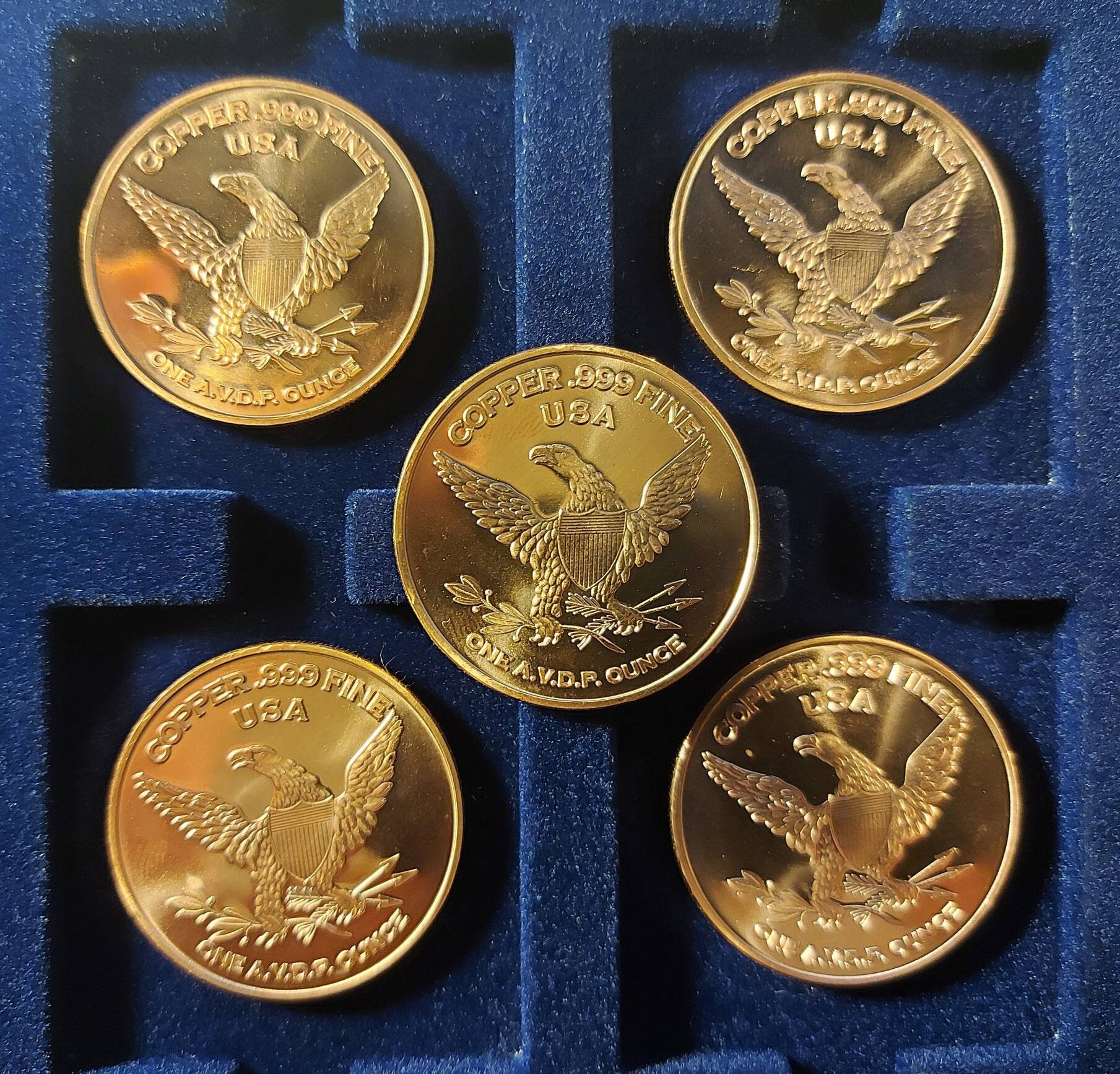 DINOSAURUS Lot of 5 Different 1 Oz. COPPER Collector - Etsy