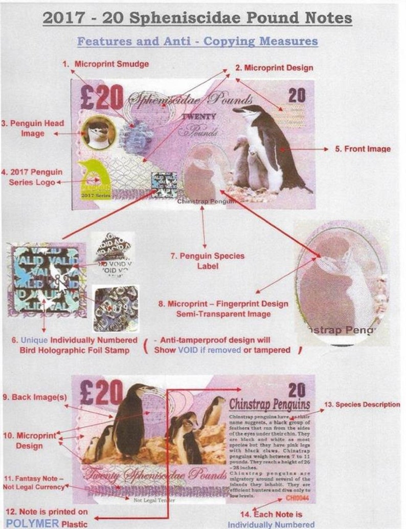 LITTLE BLUE PENGUIN - 20 Spheniscidae Pounds; A Banknote Man Fantasy ...
