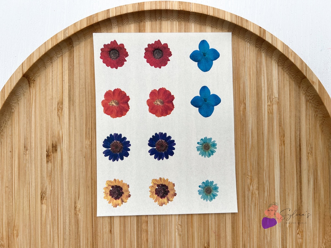Individual Pressed Flower Transfer Sheet - Etsy