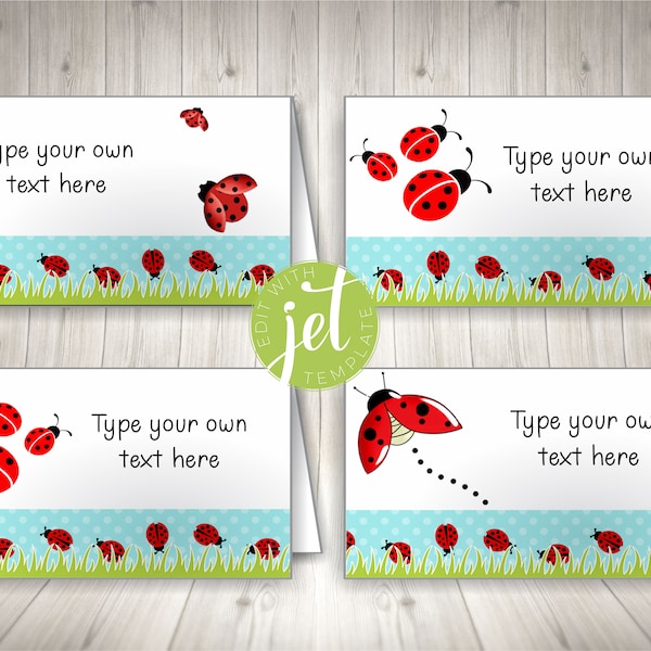 Ladybug Theme Party - Etsy