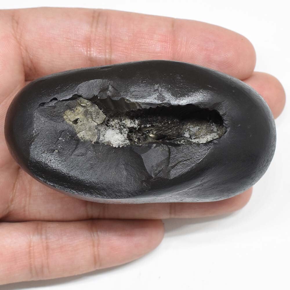 Kamal Narayan Shaligram Shila 121-219gms / Original Saligram | Etsy