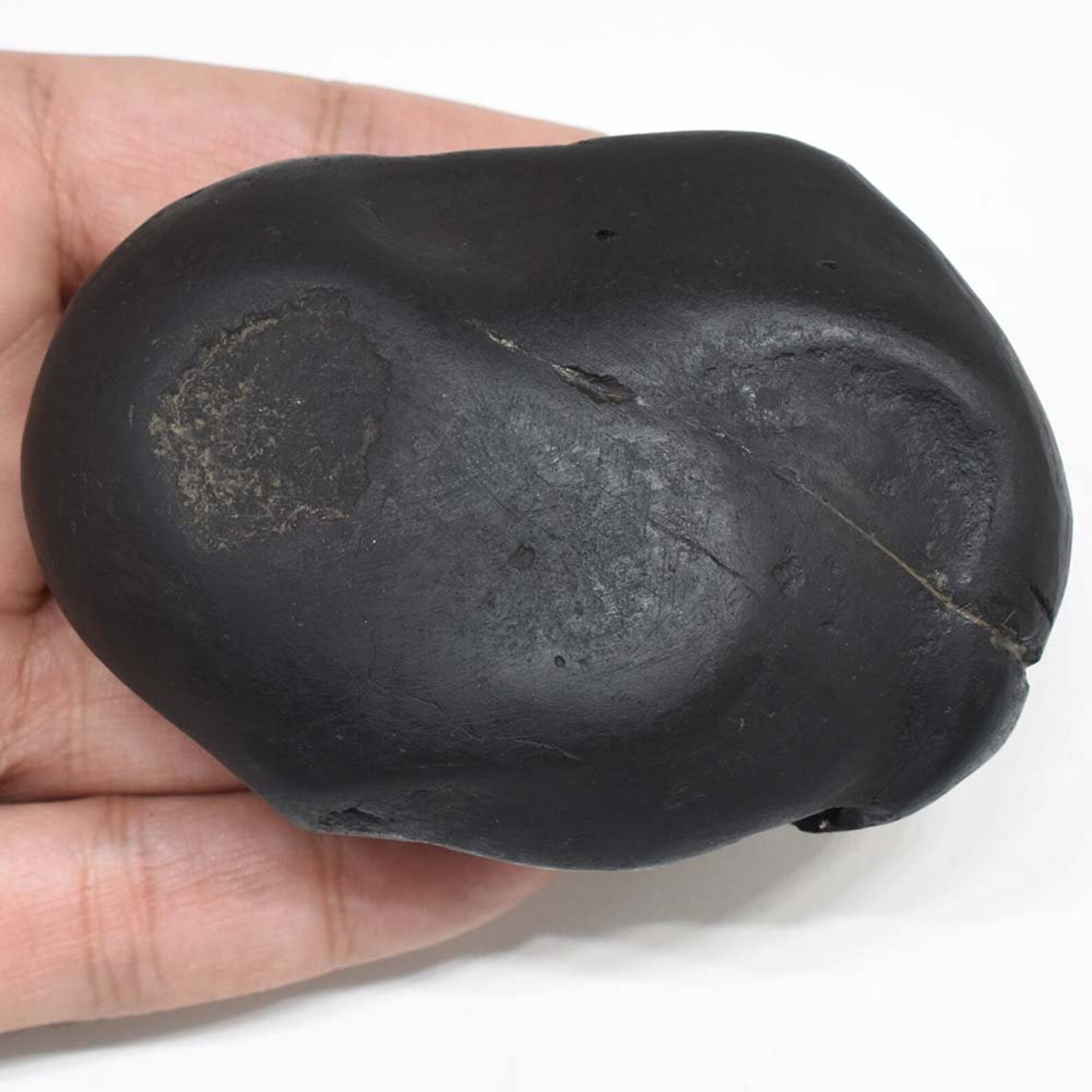 Kamal Narayan Shaligram Shila 121-219gms / Original Saligram - Etsy UK
