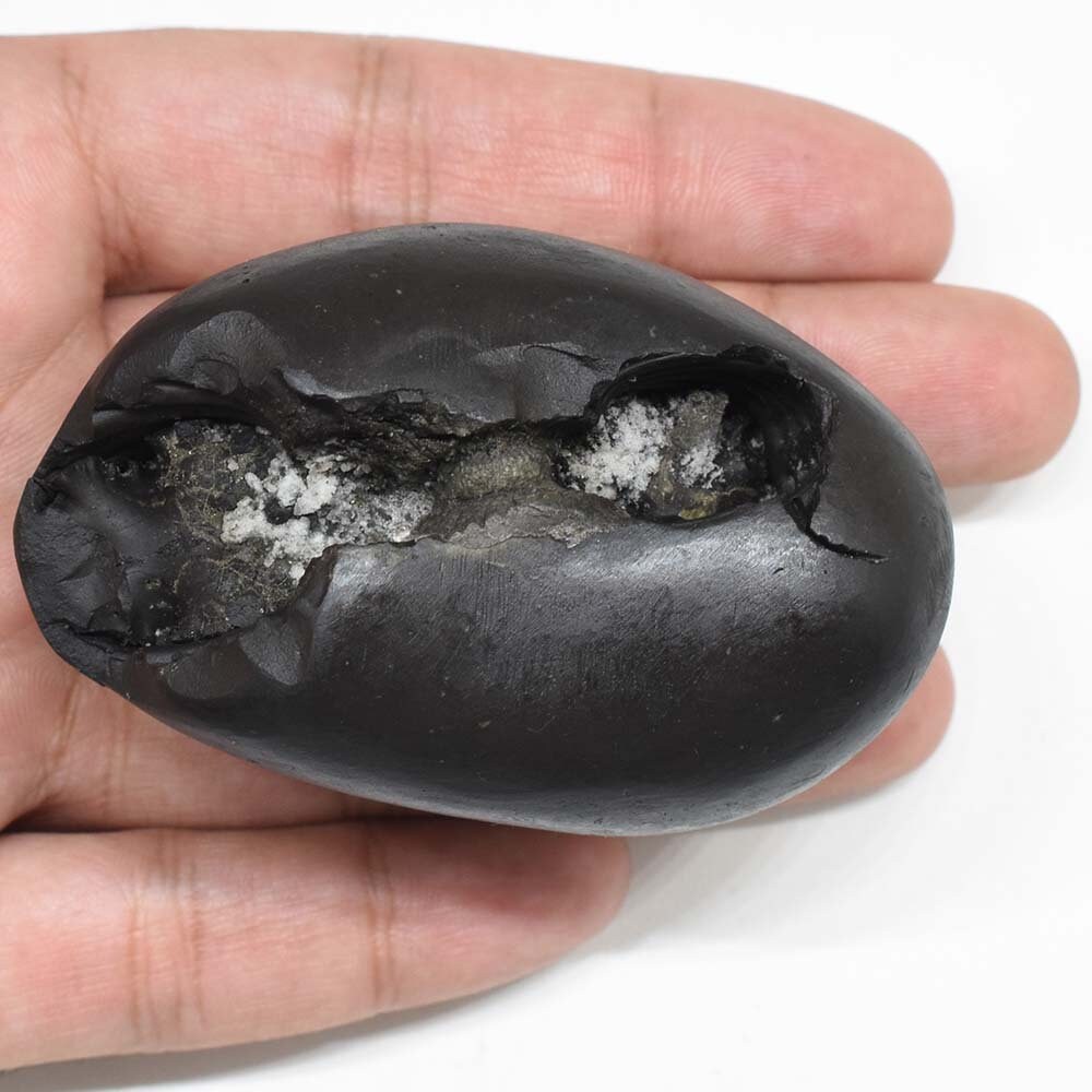 Kamal Narayan Shaligram Shila 121-219gms / Original Saligram - Etsy UK