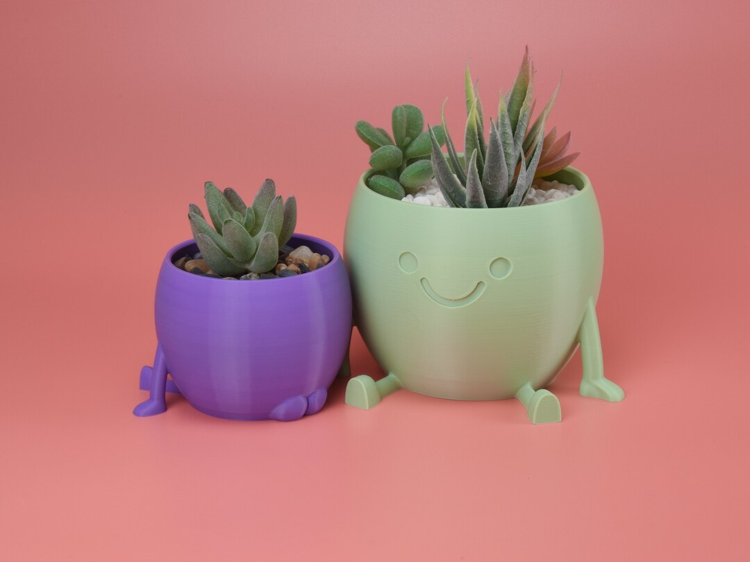 Cheeky Charlie | Planter | Succulent | Plat Pot | Indoor Planter ...