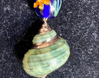 Hawaiian Conch Shell - Etsy