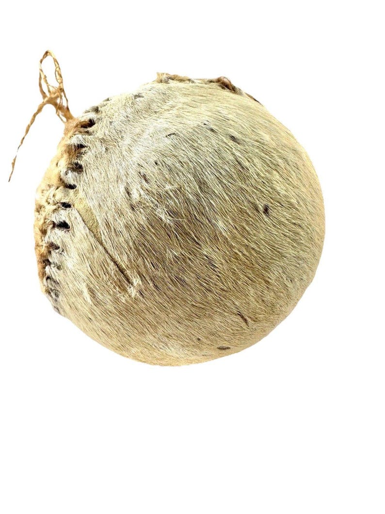 Vintage African Milk Mala Calabash Goat Hide Gourd Kenya Massai - Etsy